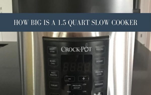 Slow Cooker Size Guide – OvenSpot