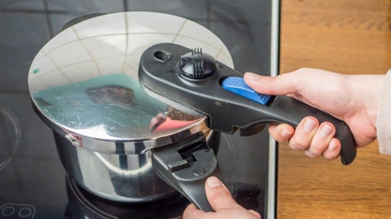 How do Pressure Cookers Work? Pressure Cooking 101