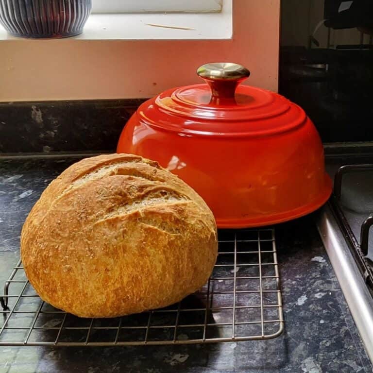 Le Creuset Bread Oven Review: Signature Cast Iron