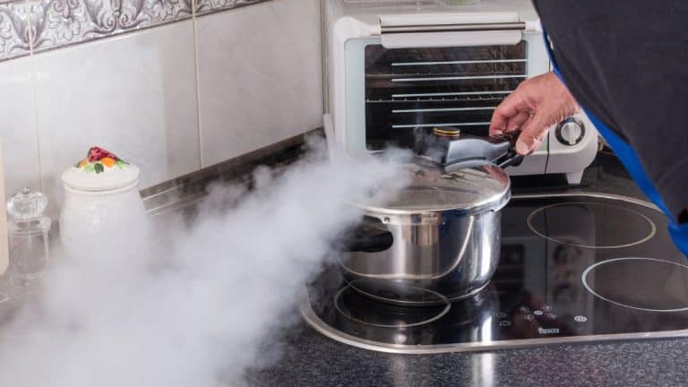 How do Pressure Cookers Work? Pressure Cooking 101