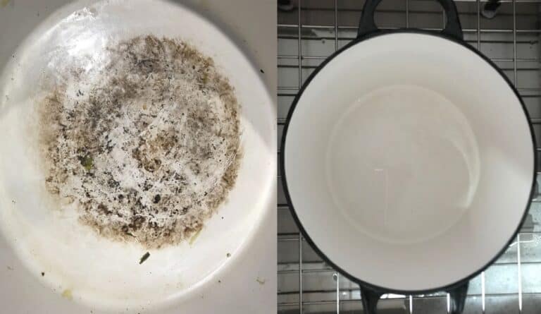 Ceramic vs Enameled Cookware: Differences Explained