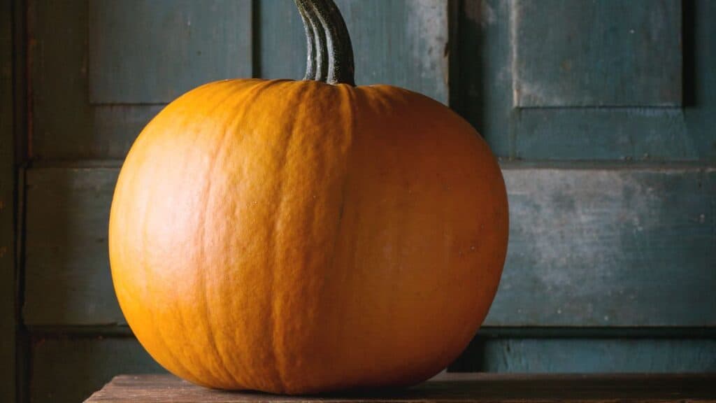 50+ Types Of Pumpkins: A Guide To Varieties And Uses