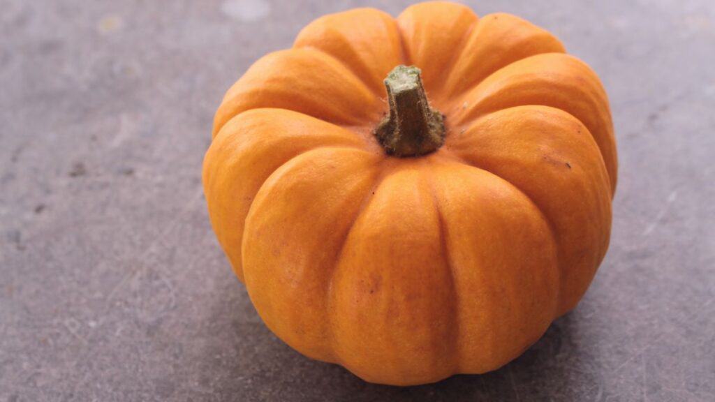 50+ Types Of Pumpkins: A Guide To Varieties And Uses
