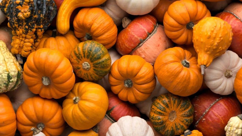 Old-Fashioned Southern Boiled Custard: A Holiday Classic